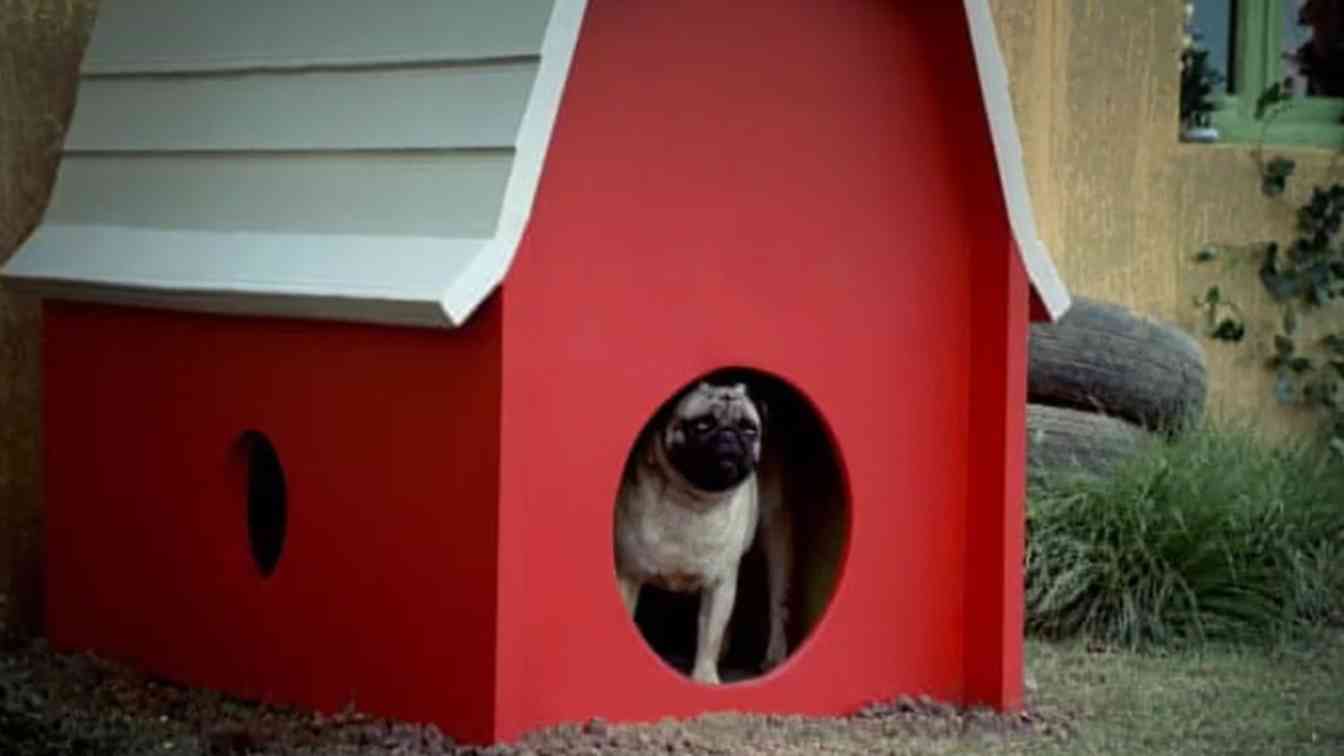 Vodafone pug is back with a 'Stay-at-home' message for everyone