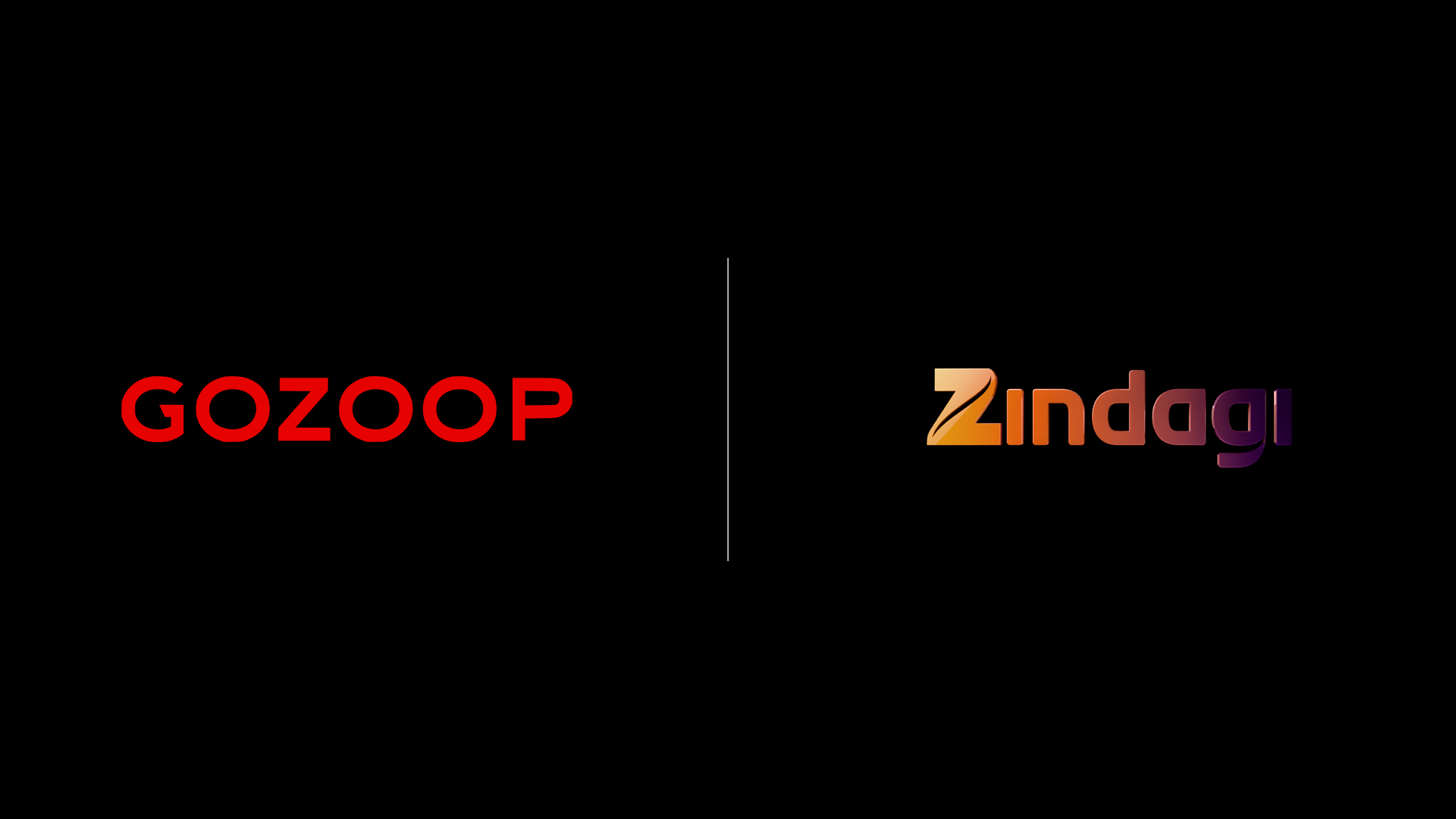 Gozoop wins digital duties for Zee Zindagi